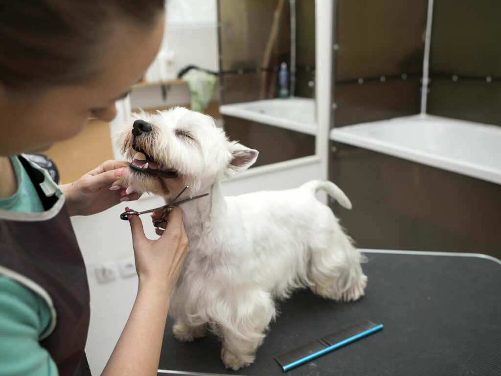 Natural Pet Grooming - PET DEPOT La Verne